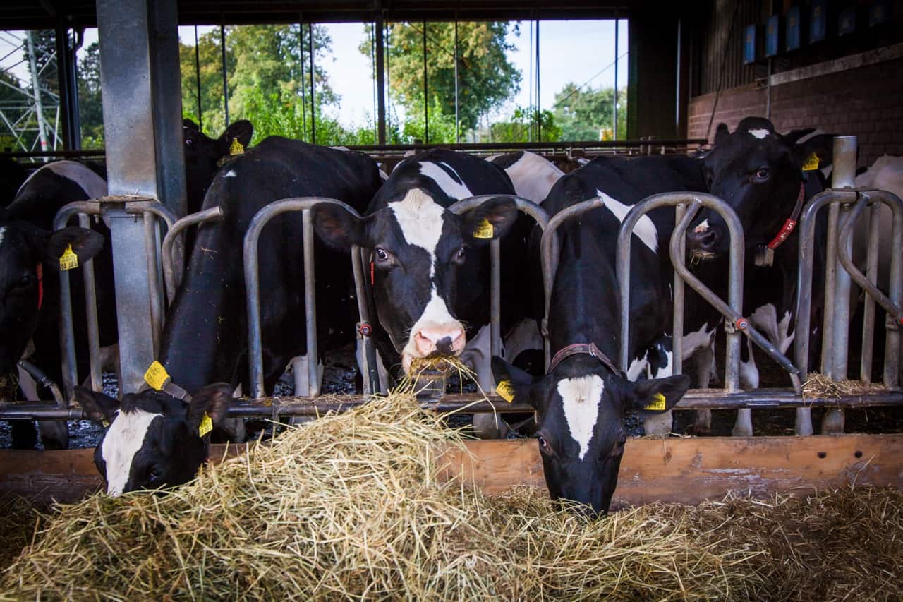 Agricultural Metal Fabrication | RJW Metalworks